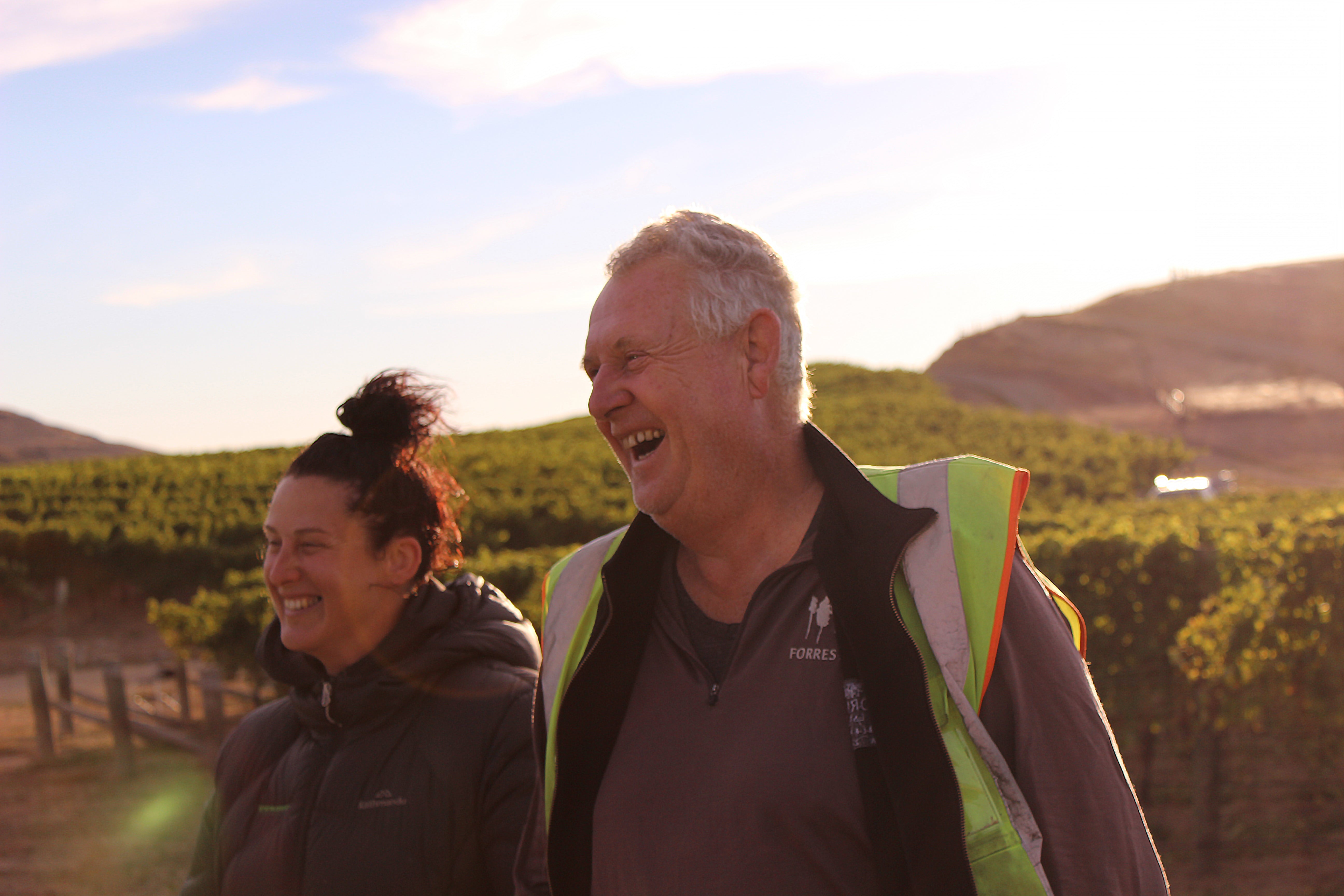 Harvest 2021 – Forrest Wines