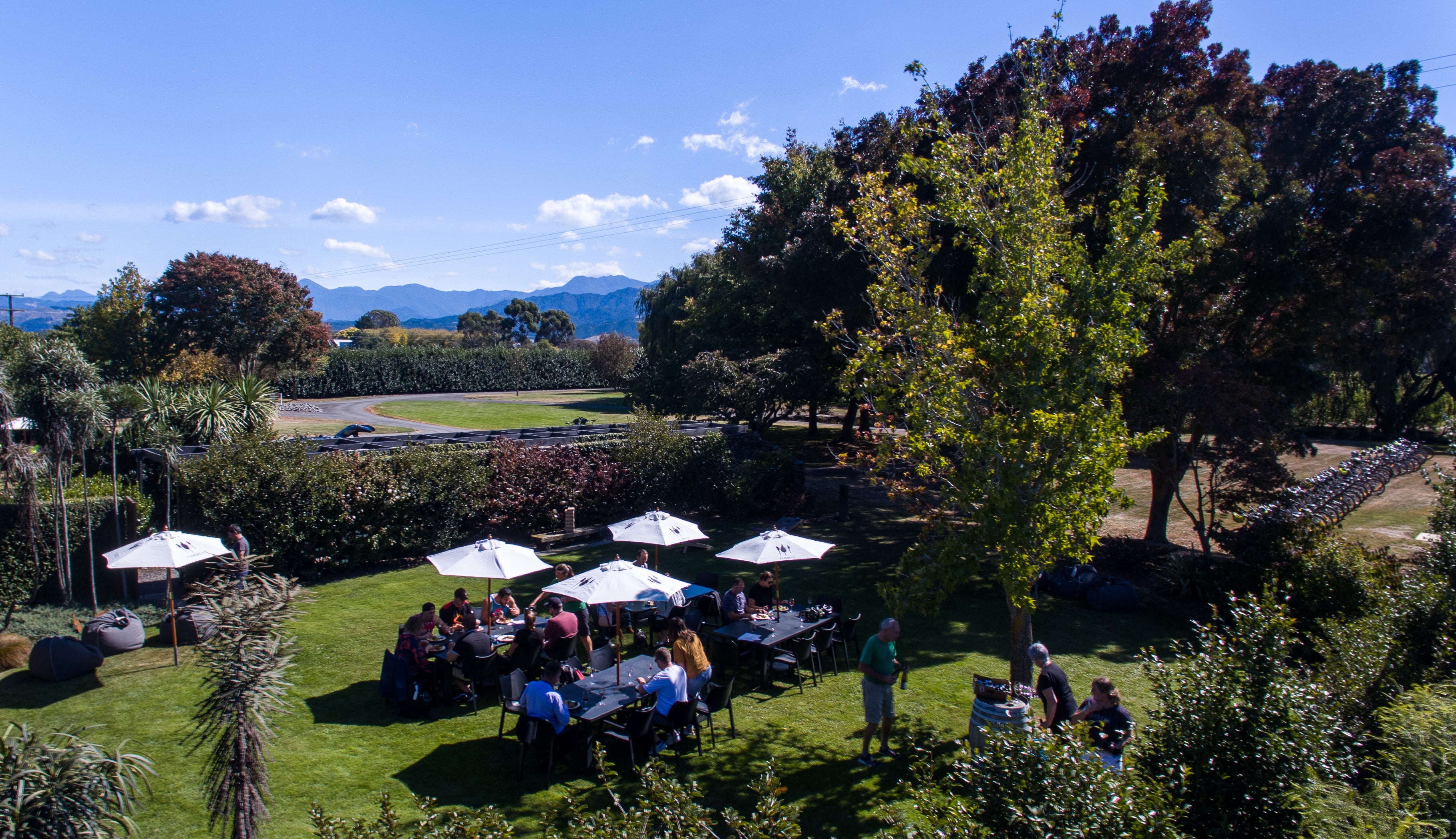 Welcome To Our Backyard – Forrest Wines
