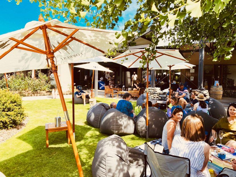 Welcome To Our Backyard – Forrest Wines